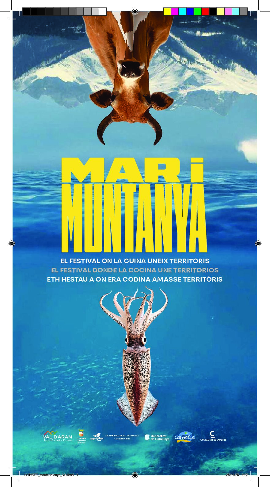 FESTIVAL MAR I MUNTANYA - VAL D'ARAN - Visitvaldaran.com - Valle de ...